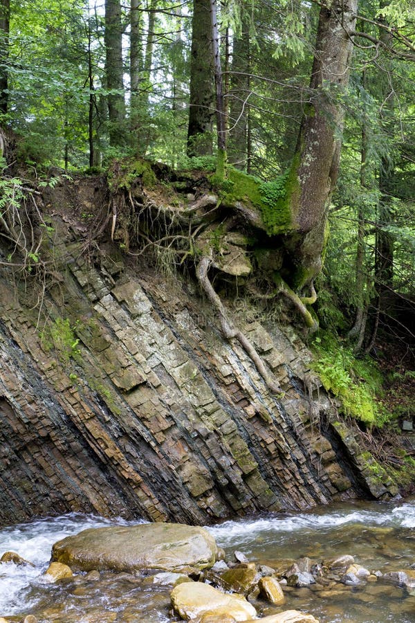 Rock with Diagonal Layers Above a Mountain River in a Green Forest ...