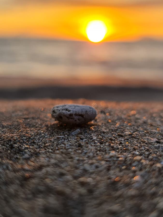 A Rock Doing Enjoying Its Solitude Time at the Beach Stock Image ...