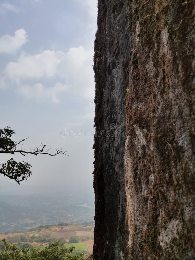 Rock Edge of Mountain, Tree Branch Stock Image - Image of object ...