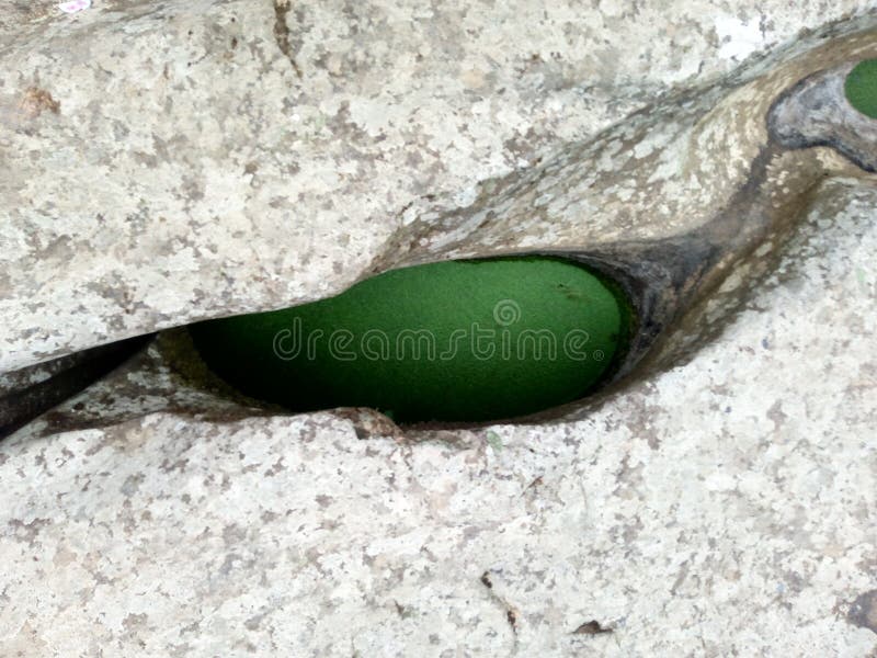 Musk into the rock stock image. Image of creek, rock - 101183541