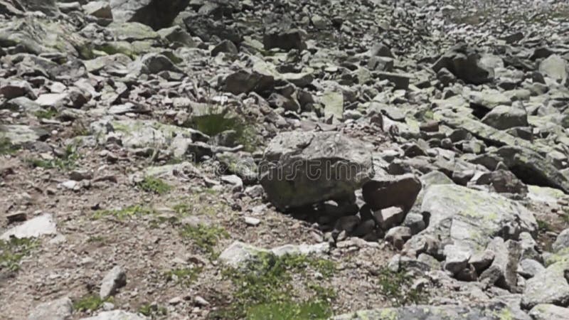 A Rock Falling Down a Slope Causes a Rockfall Stock Video - Video of ...