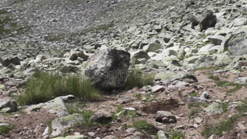 A Rock Falling Down a Slope Causes a Rockfall Stock Video - Video of ...