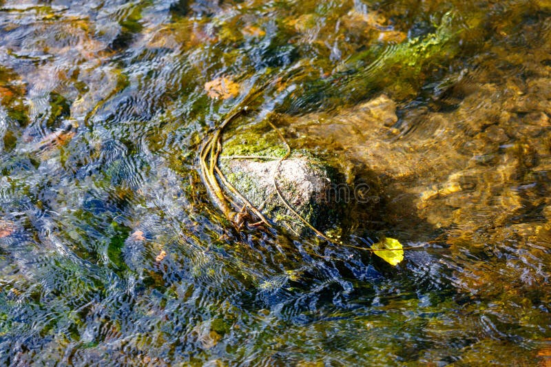 A Rock is Floating in a Stream of Water Stock Photo - Image of closeup ...
