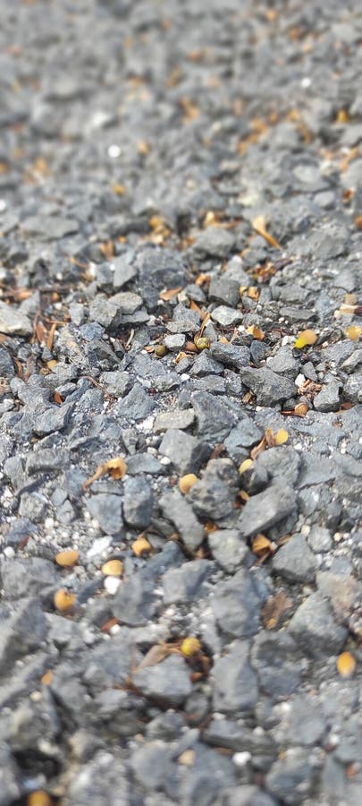 Rock in Focus Background stock image. Image of leaf - 222009005