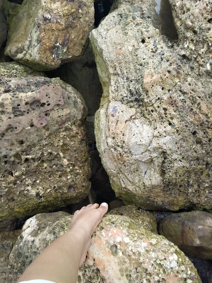 Rock foot brown stock photo. Image of soil, rock, boulder - 207726266