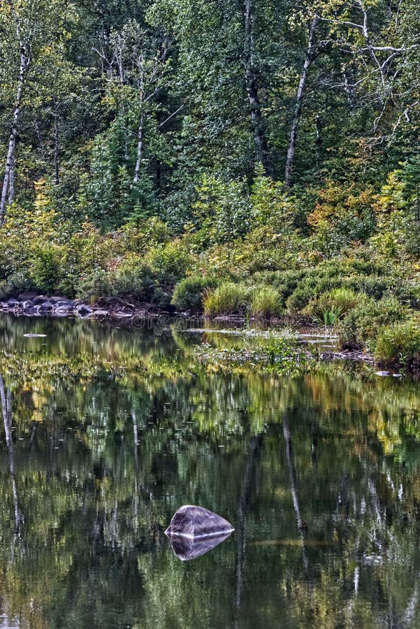 The Rock in the Foreground Reflects Along with the Forest, , Thunder ...