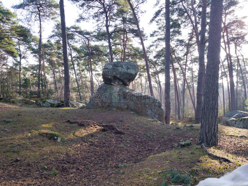 Rock in forest stock image. Image of woodland, trunk - 193292169