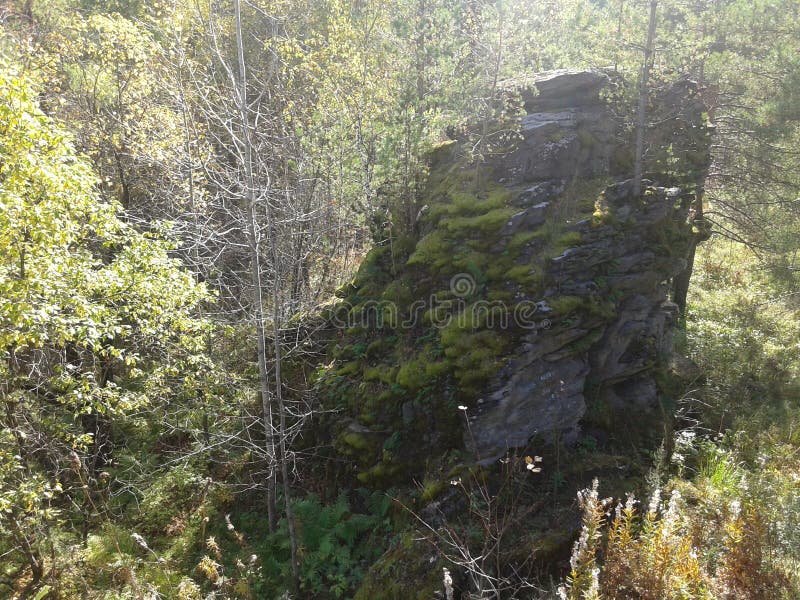 A Rock in the Forest, a Large Stone among the Trees Stock Photo - Image ...