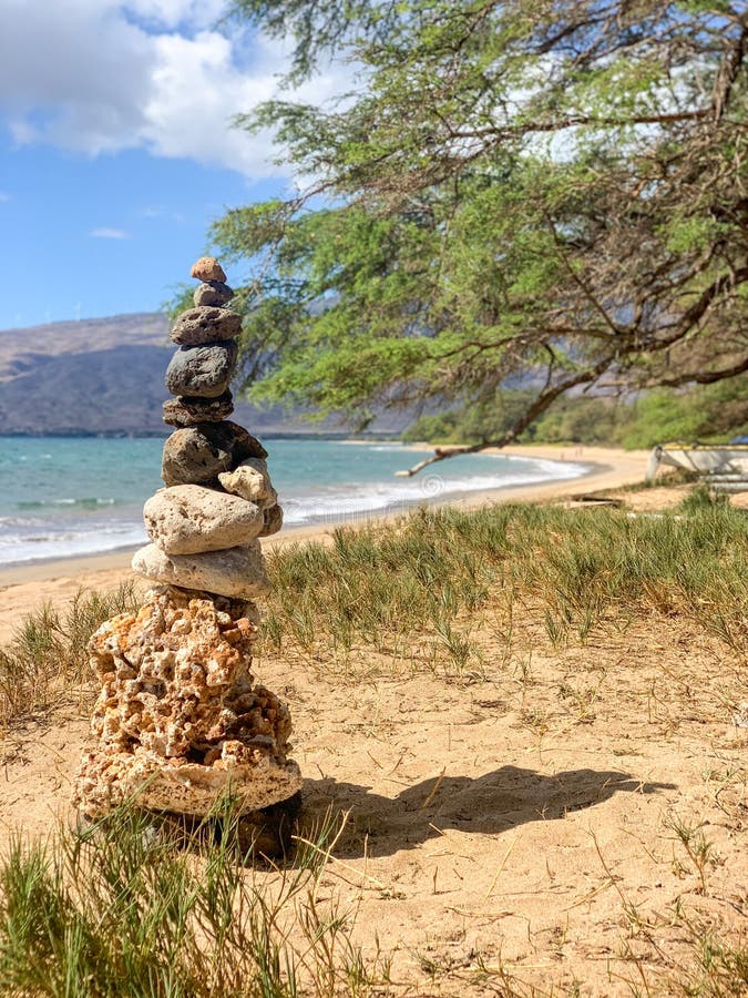 Rock Formation Art on the Beach in Hawaii through the Trees Stock Photo ...