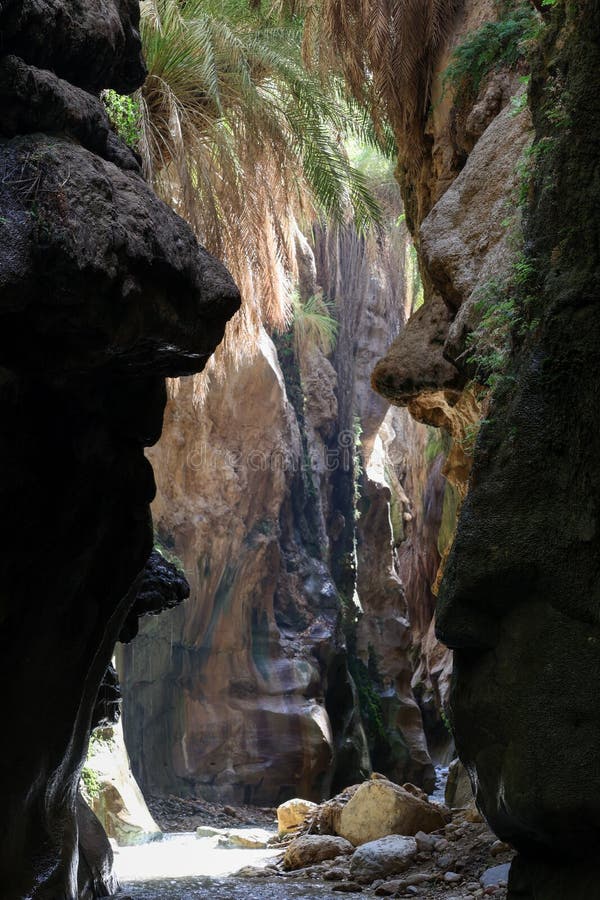 Rock Formation in Beautiful Rain Forest Canyon Trail Stock Photo ...