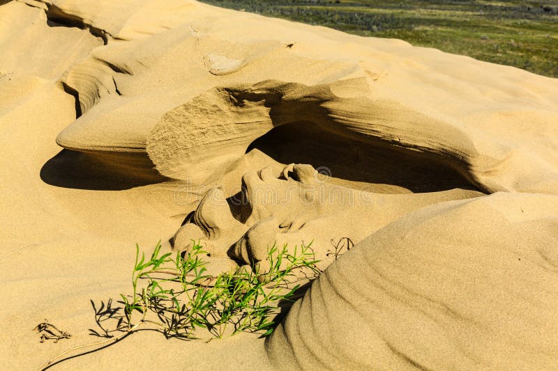A Rock Formation with a Face Carved into it Stock Photo - Image of ...
