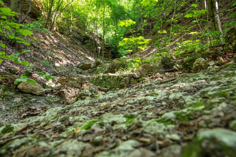 Rock Formation in the Forest in Nature Stock Image - Image of ...