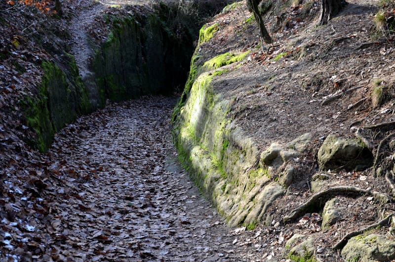 Rock Formation of Human Origin. the Forest Path Passing Along the ...