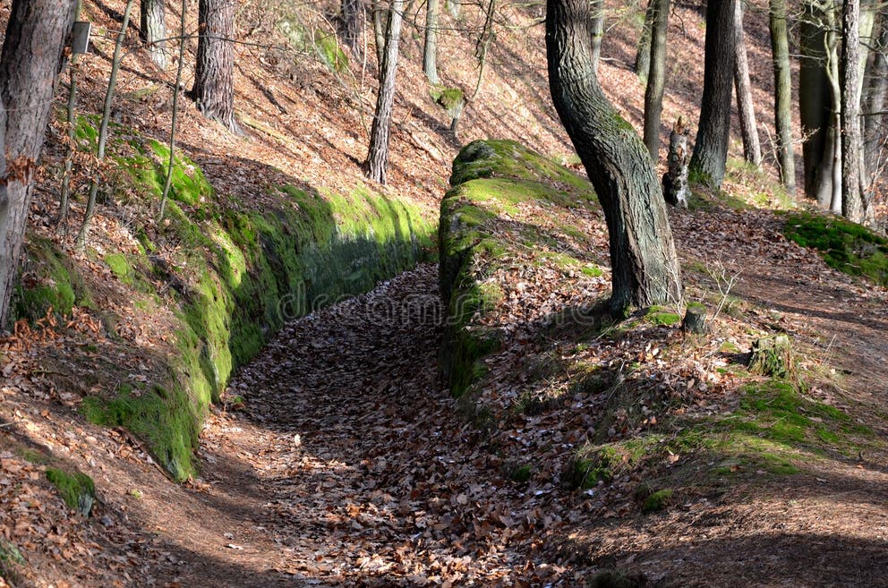 Rock Formation of Human Origin. the Forest Path Passing Along the ...
