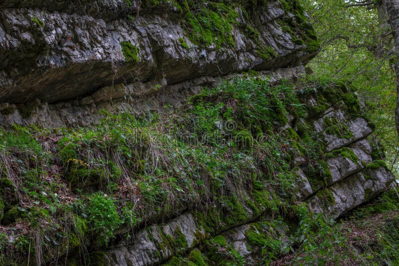 Rock Formation Inside a Forest. Rocks Stratified into Overlapping Slabs ...