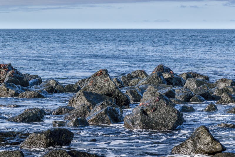 Rock Formation at Pacific Ocean Stock Photo - Image of formation ...