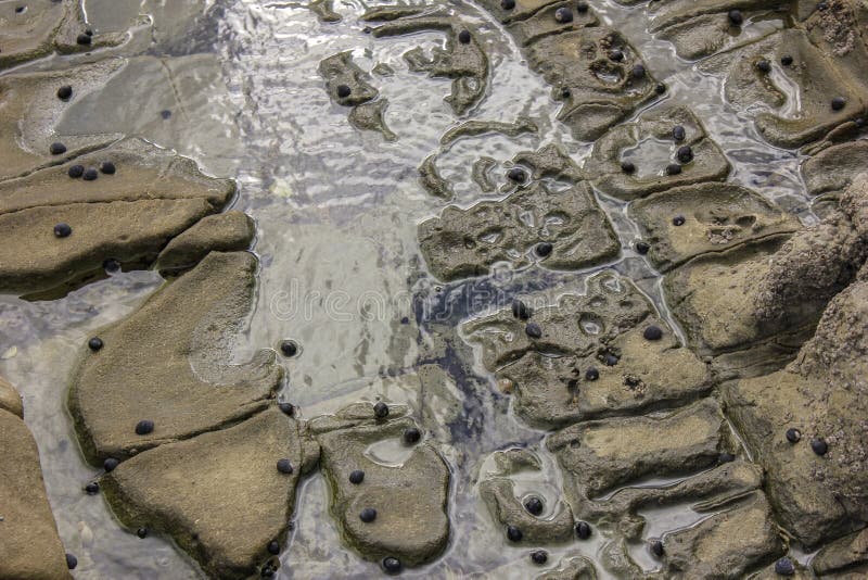 Rock Formation in River with Different Shapes and Sizes with Water ...