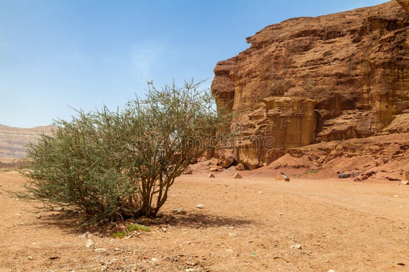 Rock Formation in Timna Valley, Israel Landscape Stock Photo - Image of ...