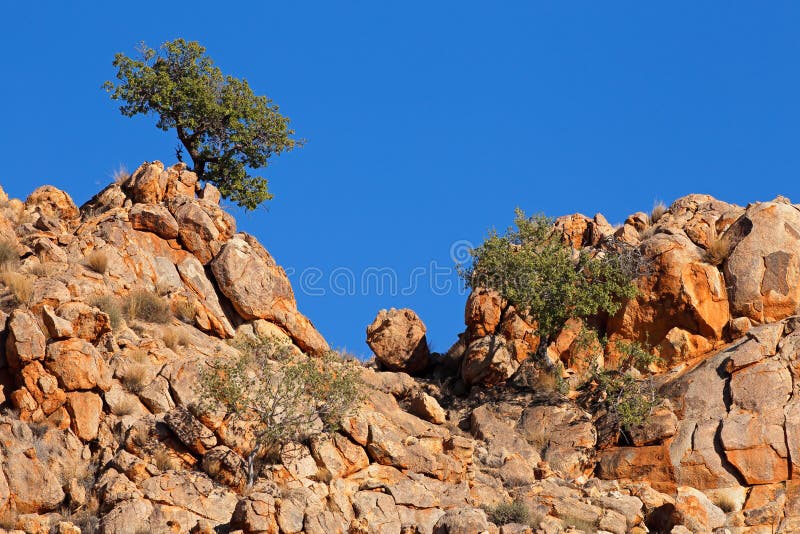 Rock Formation with Tree - Namibia Stock Image - Image of african ...