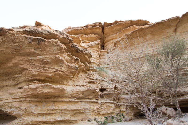 Rock Formations in Arabian Desert Stock Photo - Image of riyadh ...