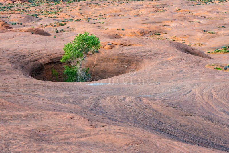 Rock Formations at Dance Hall Rock in Southern Utah Stock Photo - Image ...