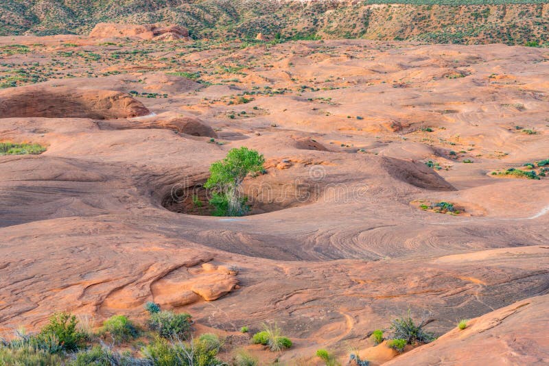Rock Formations at Dance Hall Rock in Southern Utah Stock Photo - Image ...