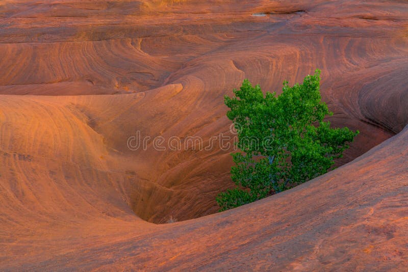 Rock Formations at Dance Hall Rock in Southern Utah Stock Photo - Image ...