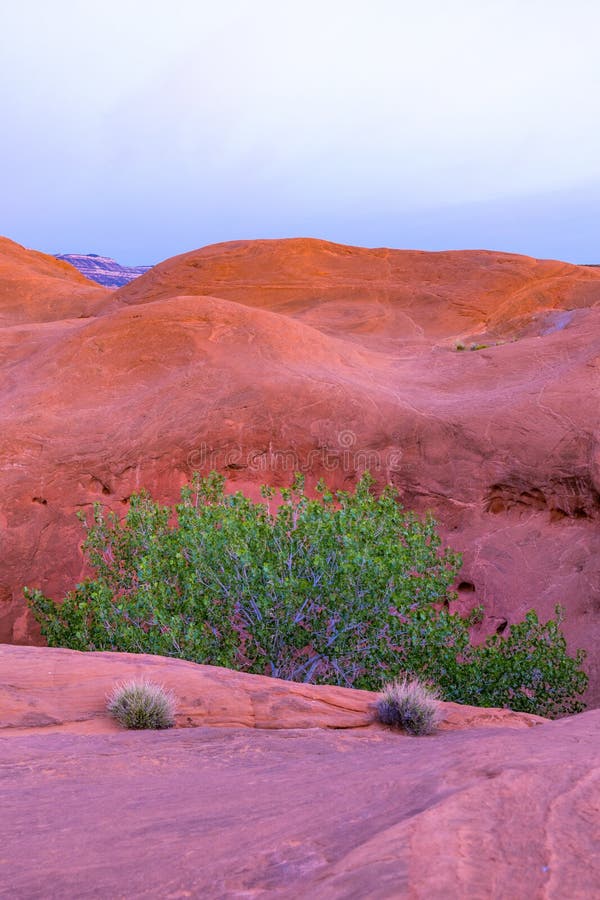 Rock Formations at Dance Hall Rock in Southern Utah Stock Photo - Image ...