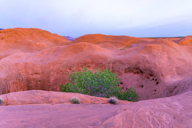 Rock Formations at Dance Hall Rock in Southern Utah Stock Image - Image ...