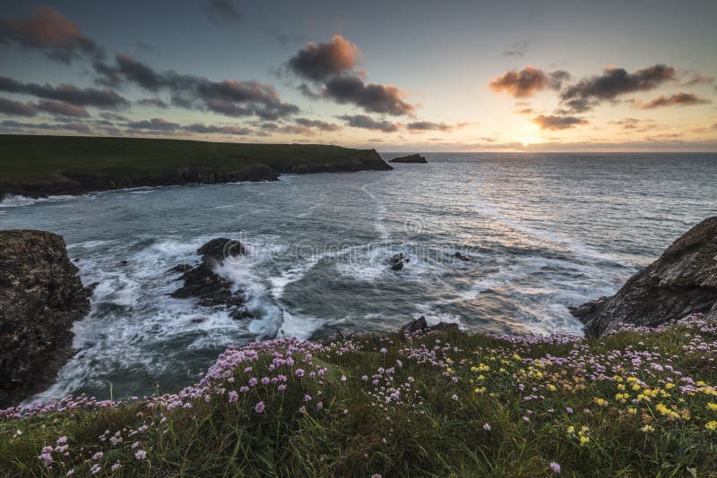Rock Formations, Flowers and a Cliff Covered with Flat Grass by the ...