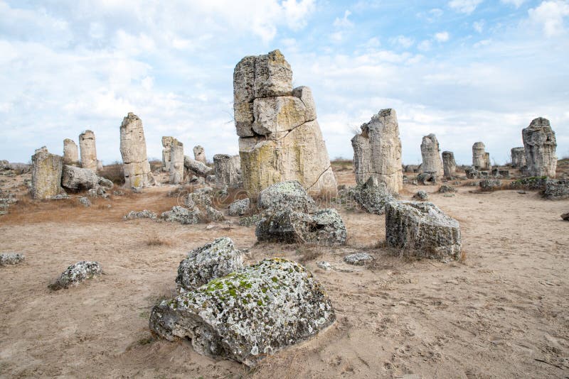 The stone forrest stock image. Image of formations, geology - 267508343