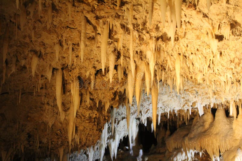 Rock Formations in Harrisons Cave Stock Image - Image of cave, barbados ...