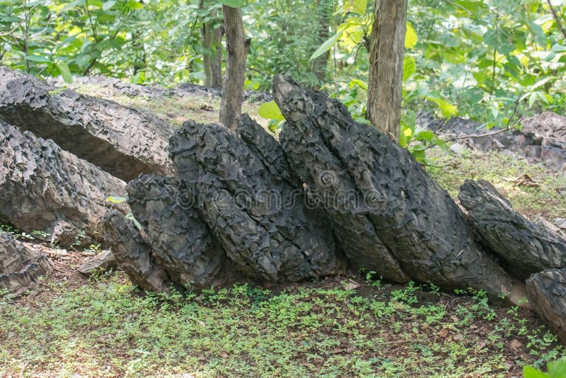 Rock Formations in India stock image. Image of madhya - 127242313