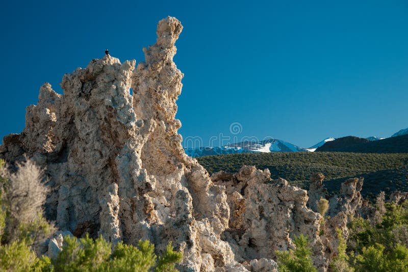 Rock Formations on Mono Lake Stock Image - Image of forested, lake ...