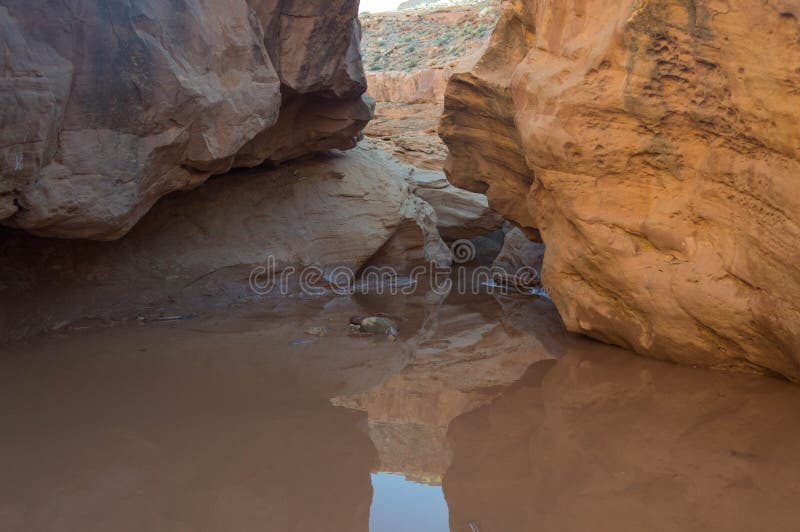 The Rock Formations are Reflected in a Muddy Puddle Stock Photo - Image ...