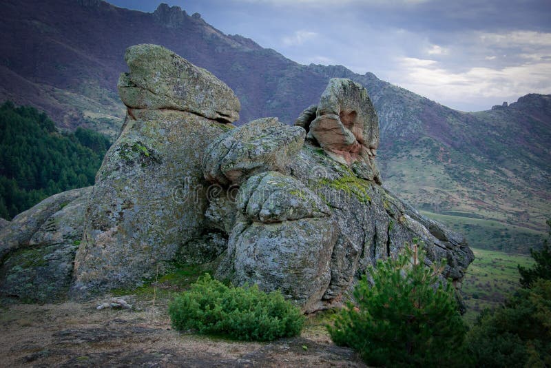 Selecka Stock Photos - Free & Royalty-Free Stock Photos from Dreamstime