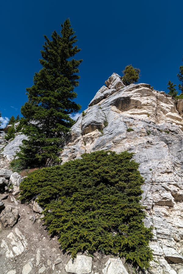 Rock Formations in Yellowstone National Park Stock Image - Image of ...
