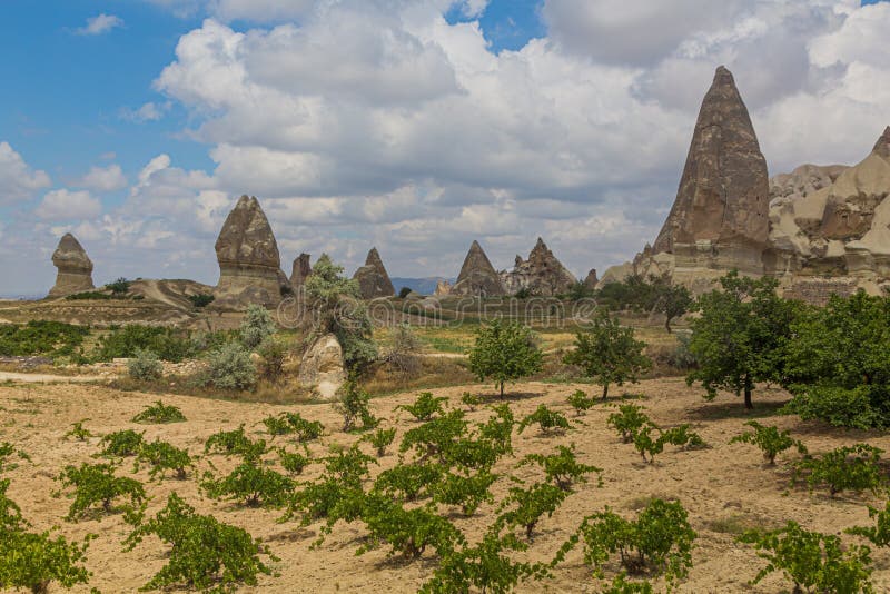 Rock Formations and Vineyards in Cappadocia, Turk Stock Photo - Image ...