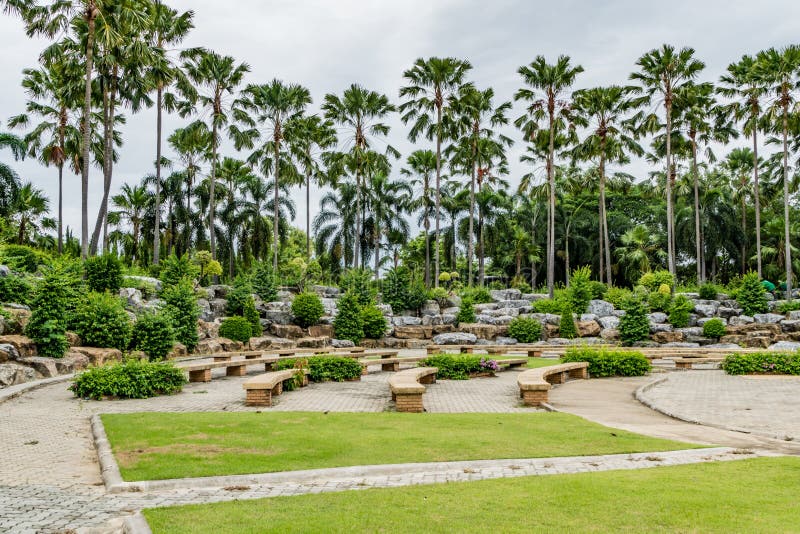 Rock Garden and Coconut Trees in the Park Stock Photo - Image of strong ...