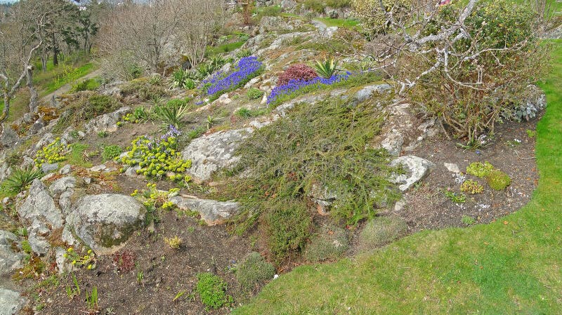 Rock garden on hillside stock photo. Image of rock, victoria - 287908952