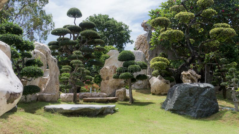 Rock Garden with Shaped Trees Stock Photo - Image of serene, cool: 68405648