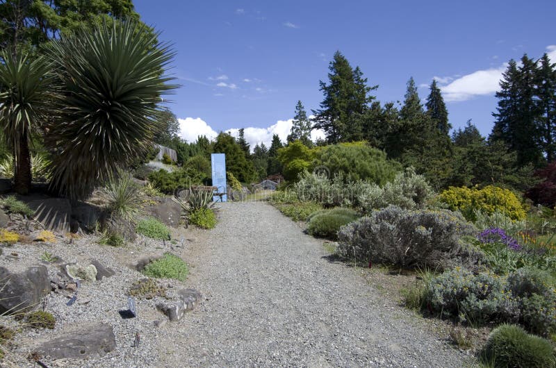 Rock Garden in Vancouver Botanical Garden Stock Image - Image of grass ...