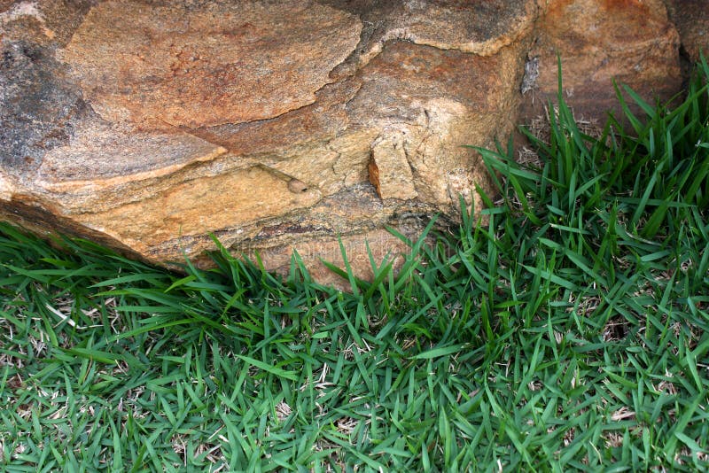 Ornamental Grasses Rocks