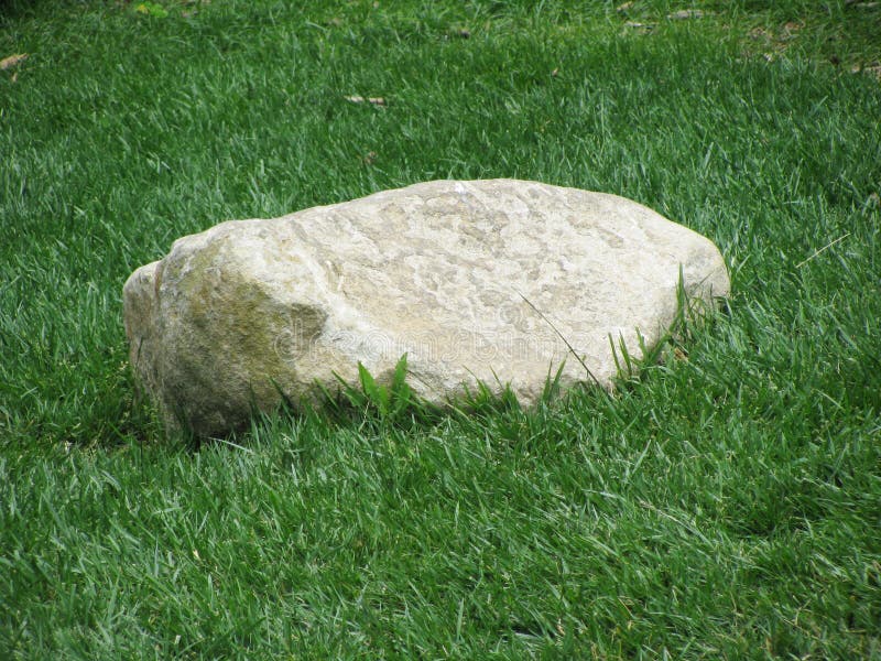 A rock in the grass stock image. Image of intriguing - 94895779