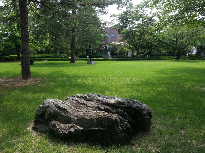 Rock on grasses in garden stock photo. Image of garden - 96667280