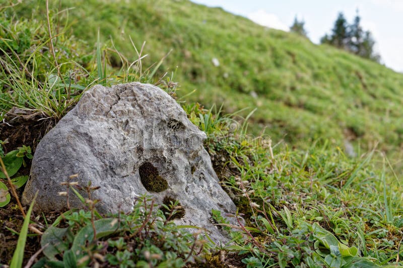 Rock on a grassy slope stock photo. Image of landscape - 341855024