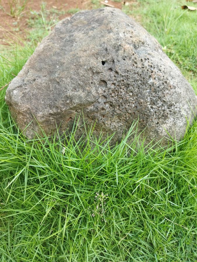 Stunning Natural Seascapes Concept. White Chalk Cliffs of Flamborough ...