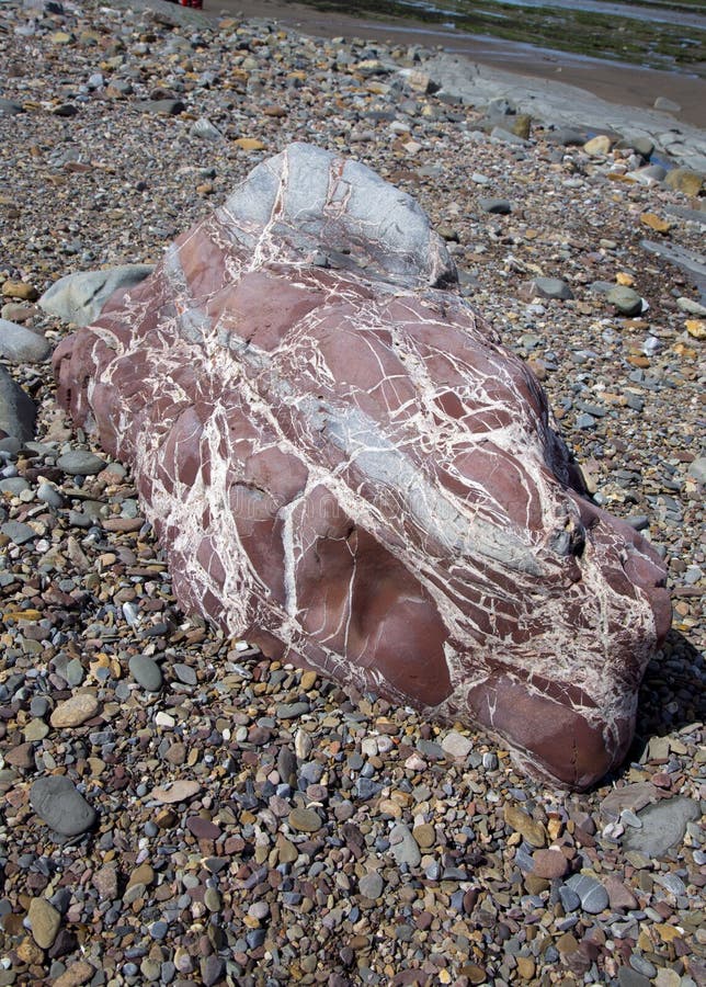 Rock ingrained with quartz stock image. Image of fossil - 59681117