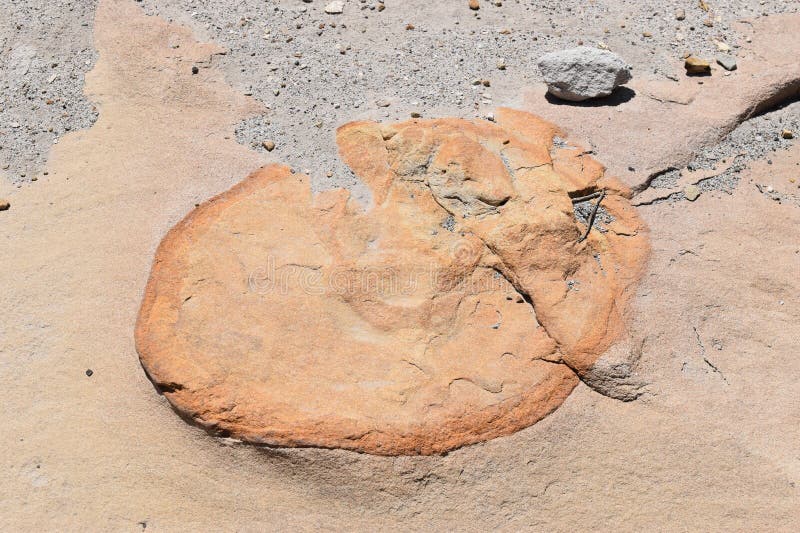 Rock Inside a Rock on BLM Land Stock Photo - Image of floor, wood ...