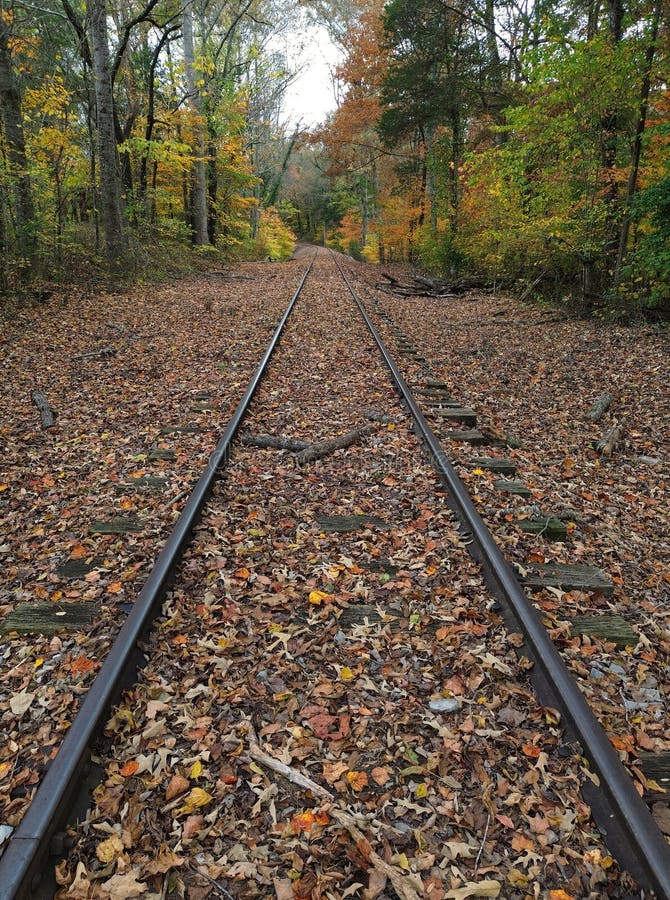 Rails vertical stock image. Image of famous, attraction - 398304163